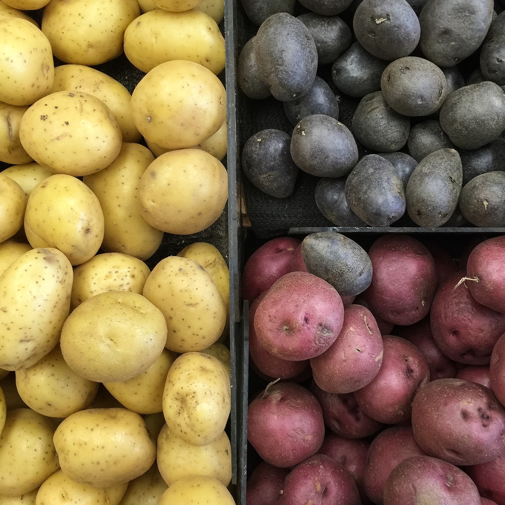 colorful potatoes – Potanana